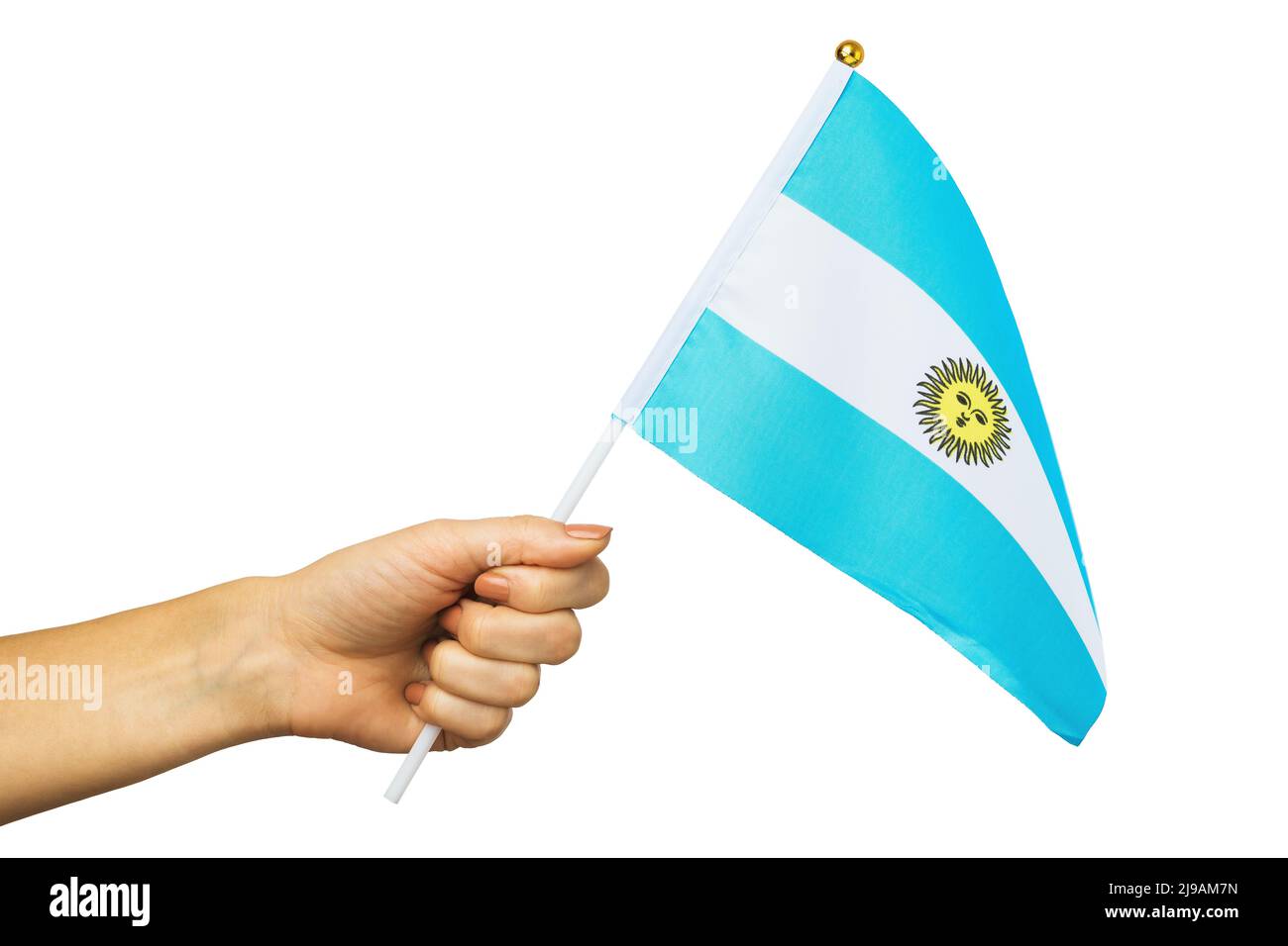 Woman's hand holding Argentina flag isolated on white background ...