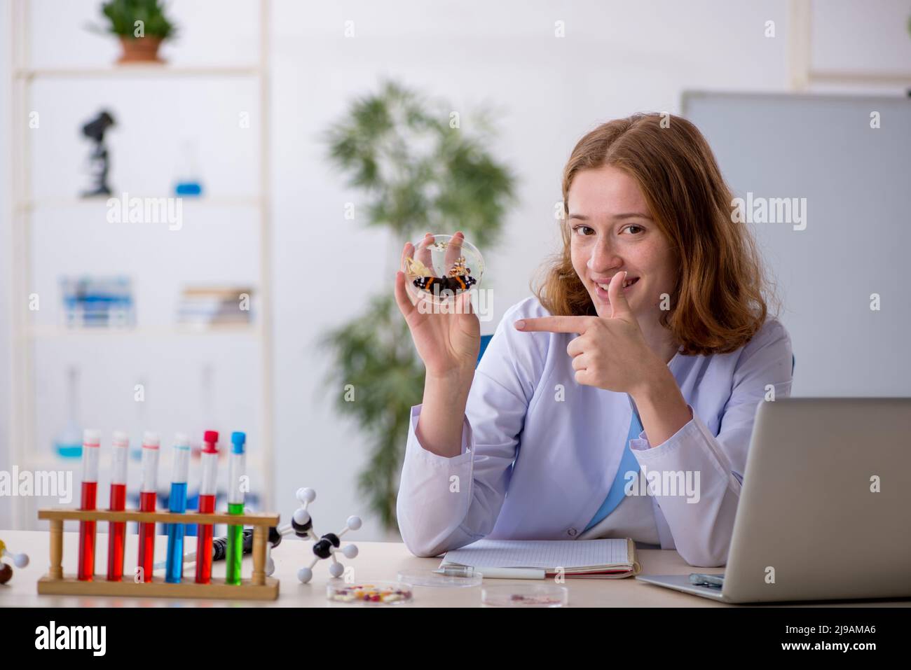 Entomologist holding insect hi-res stock photography and images - Alamy
