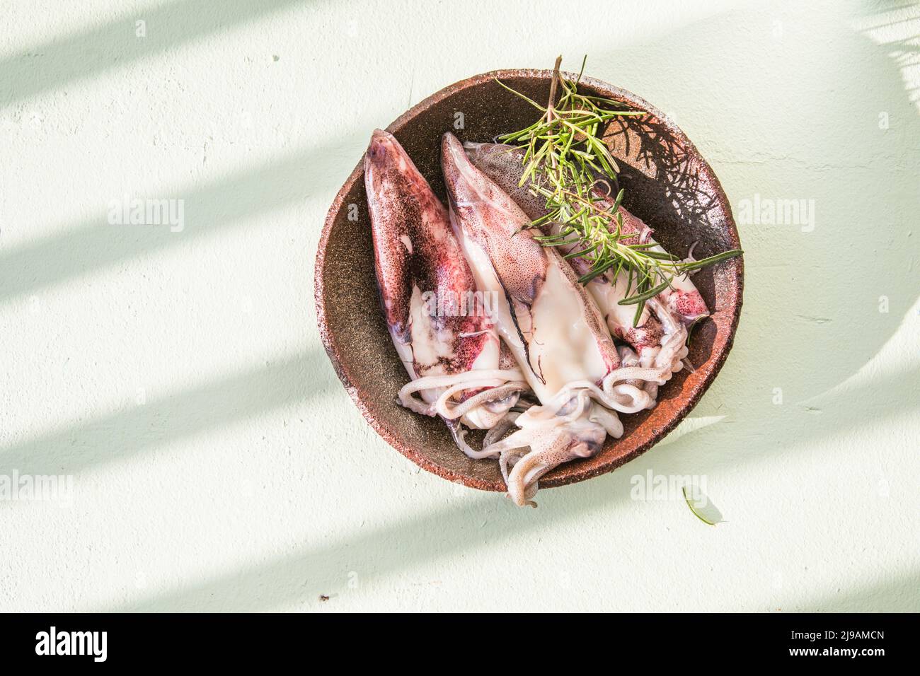 Fresh squid calmari on white background Stock Photo - Alamy
