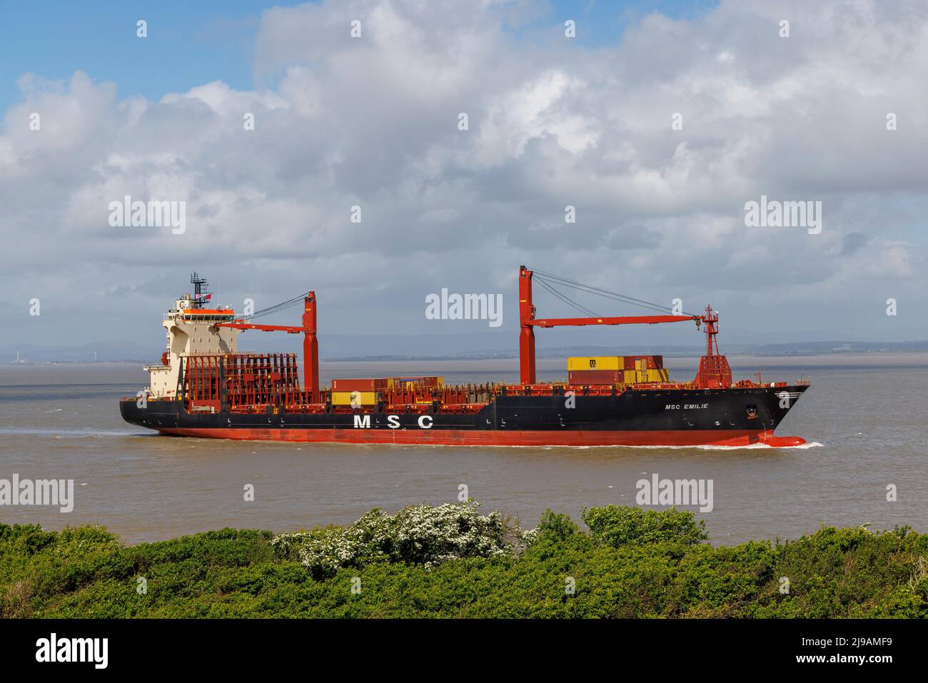 Container ship MSC Emily heading to Portbury docks Stock Photo - Alamy