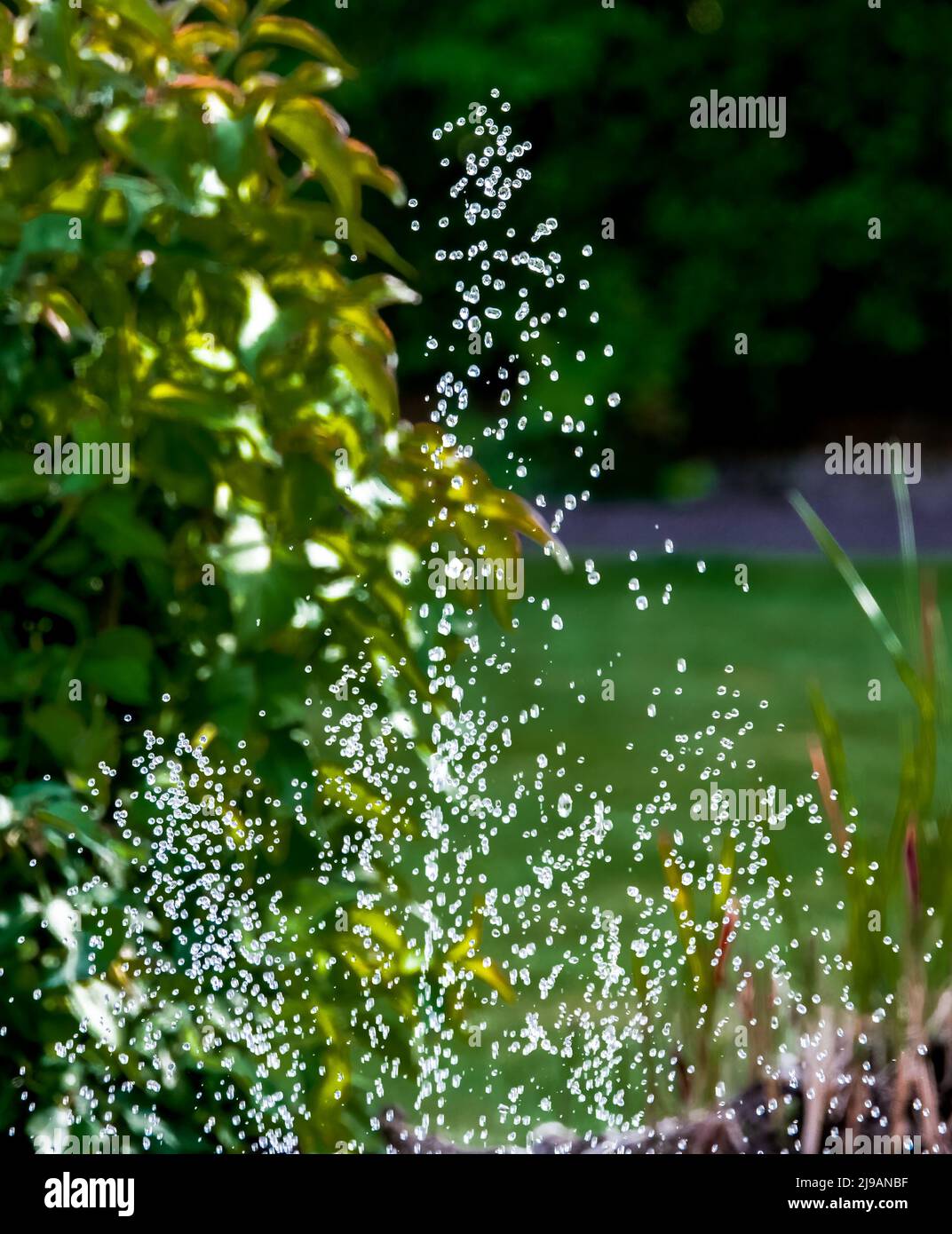 water droplets captured in mid-air from a garden solar powered water ...