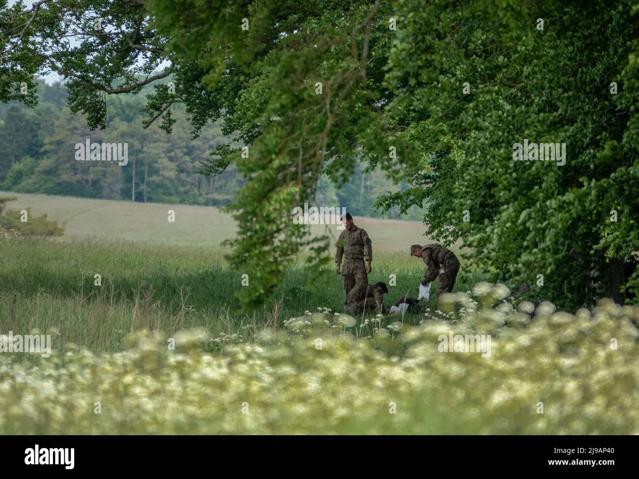 british army soldiers on a military exercise in summer sunshine Stock ...