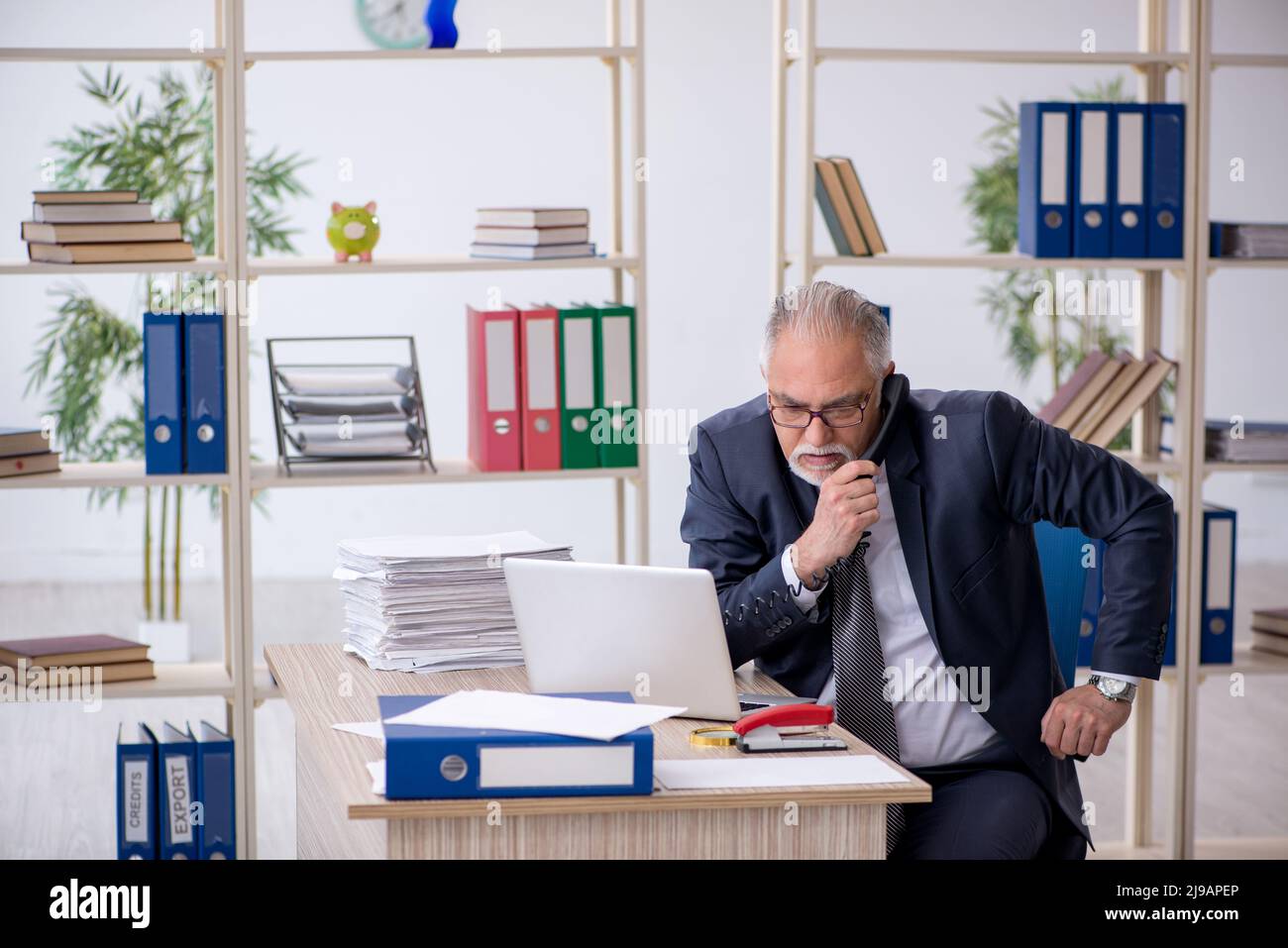 Old businessman employee and too much work in the office Stock Photo ...