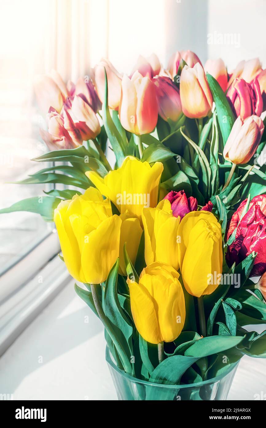 Multicolored tulips stand on the window in a glass vase Stock Photo - Alamy