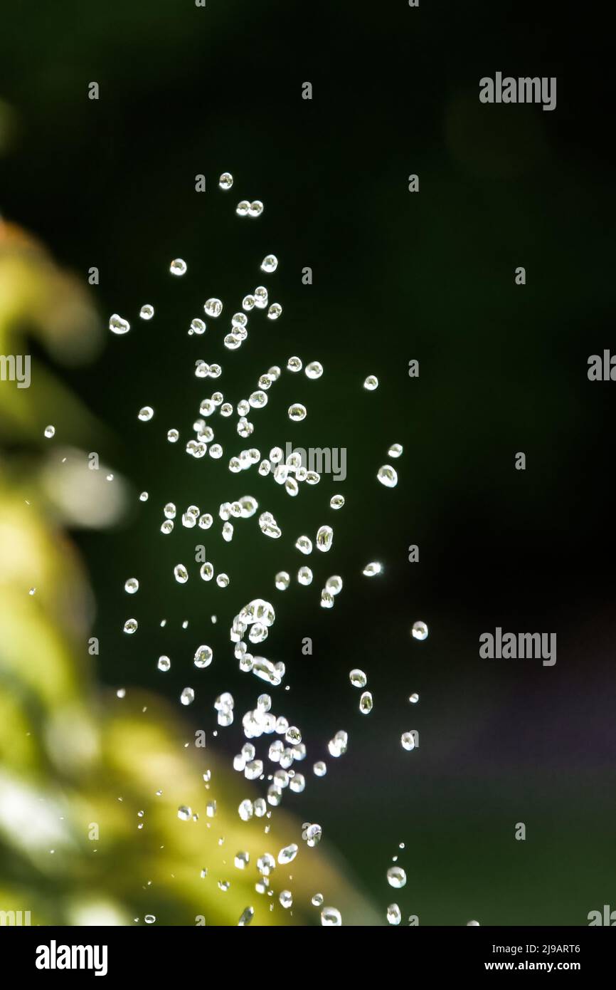 water droplets captured in mid-air from a garden solar powered water ...