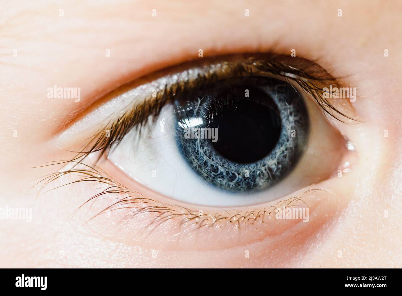 Macro photo of human child eye looking at the side. close-up detail of ...