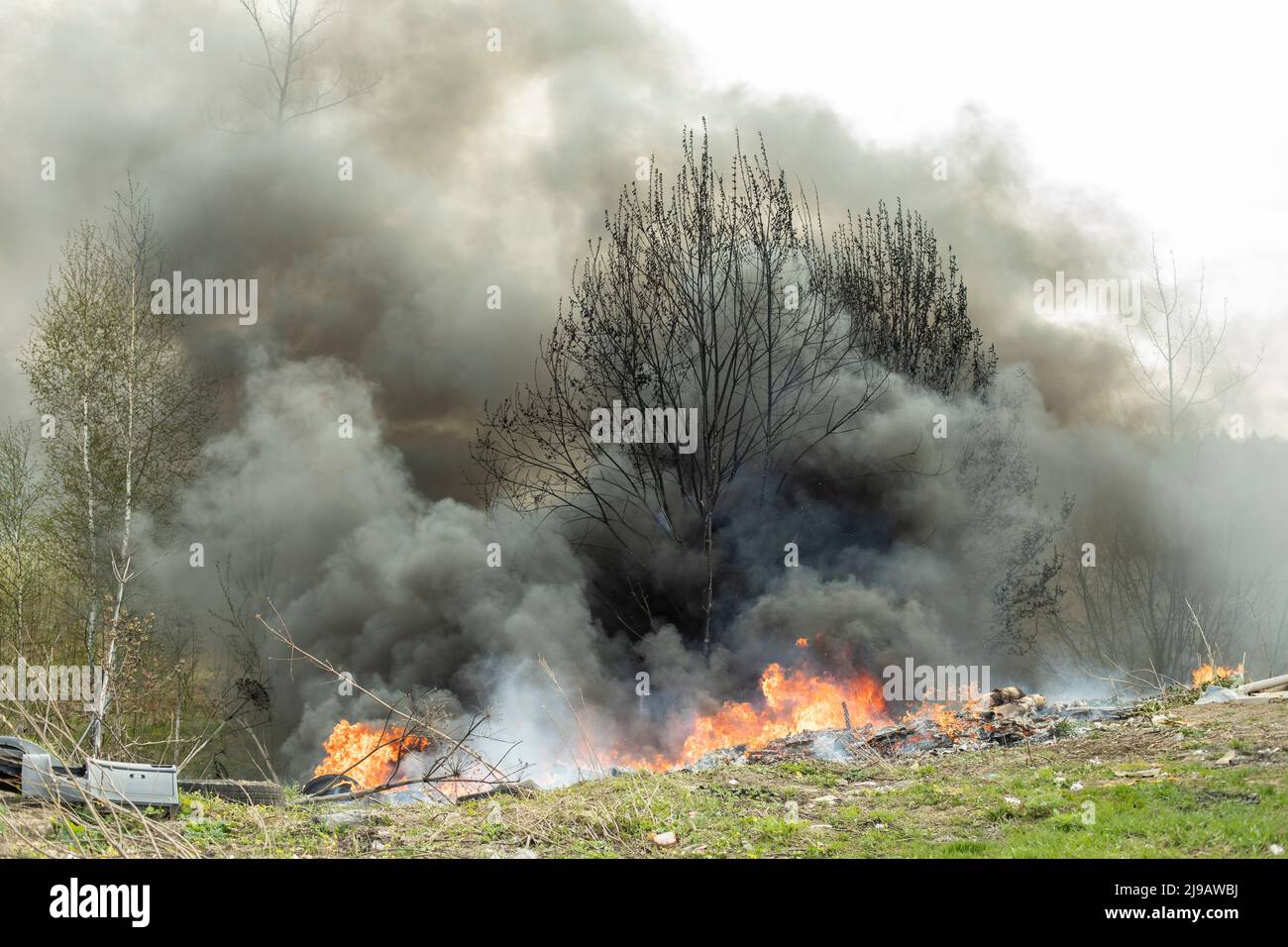 Trees are burning. Fire in nature. Burning garbage dump. Damage to ...