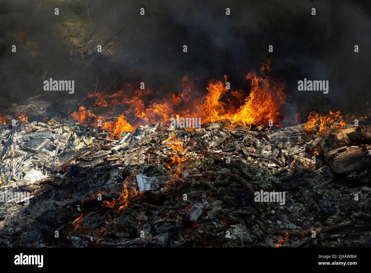 Fire in landfill. Fire and smoke. Burning garbage. Lots of black smoke ...