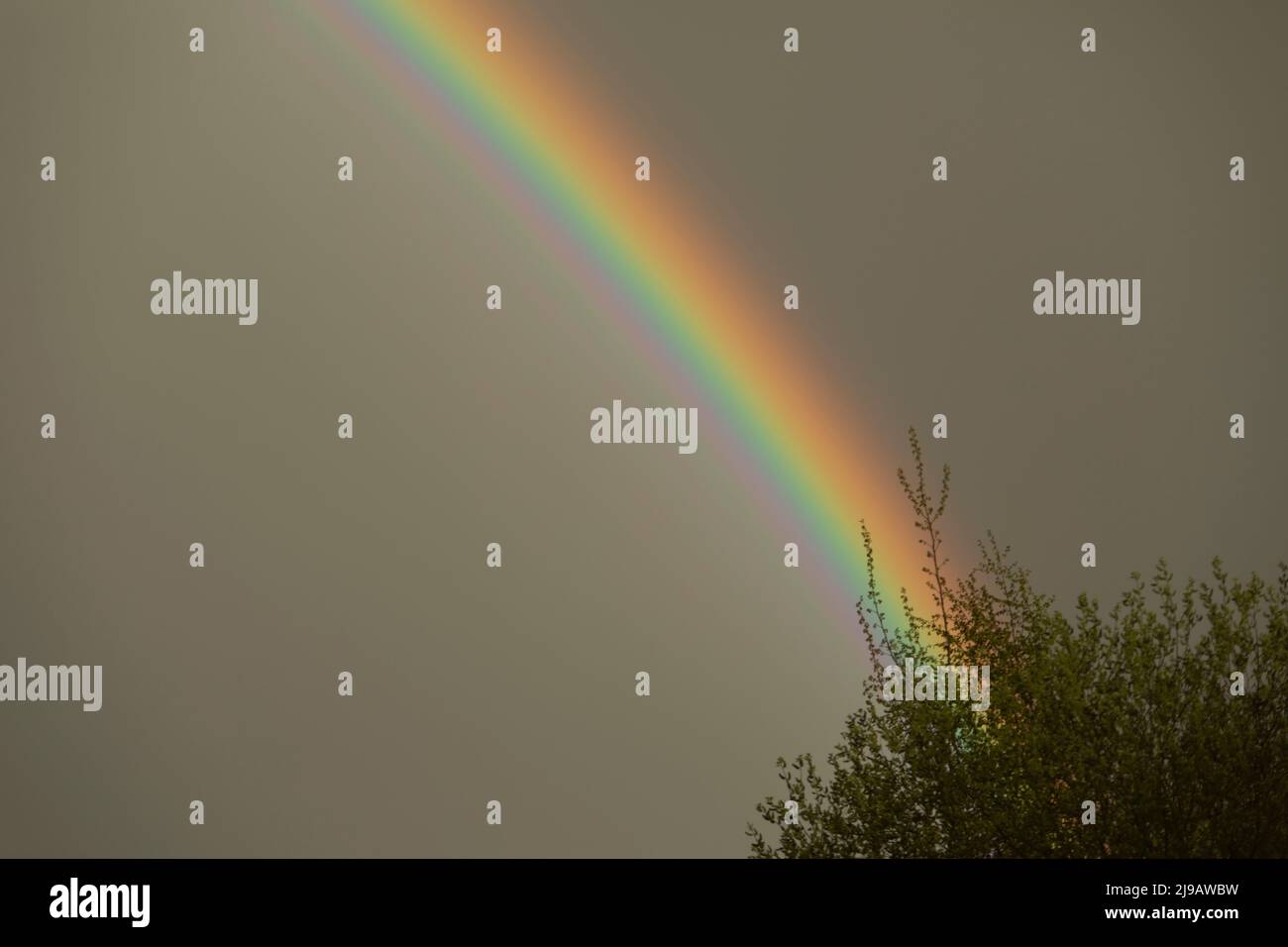 Rainbow in sky. Refraction of light. Weather after rain. Bright arc of ...