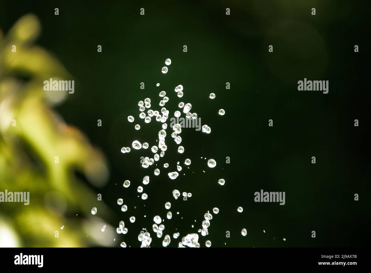 water droplets captured in mid-air from a garden solar powered water ...