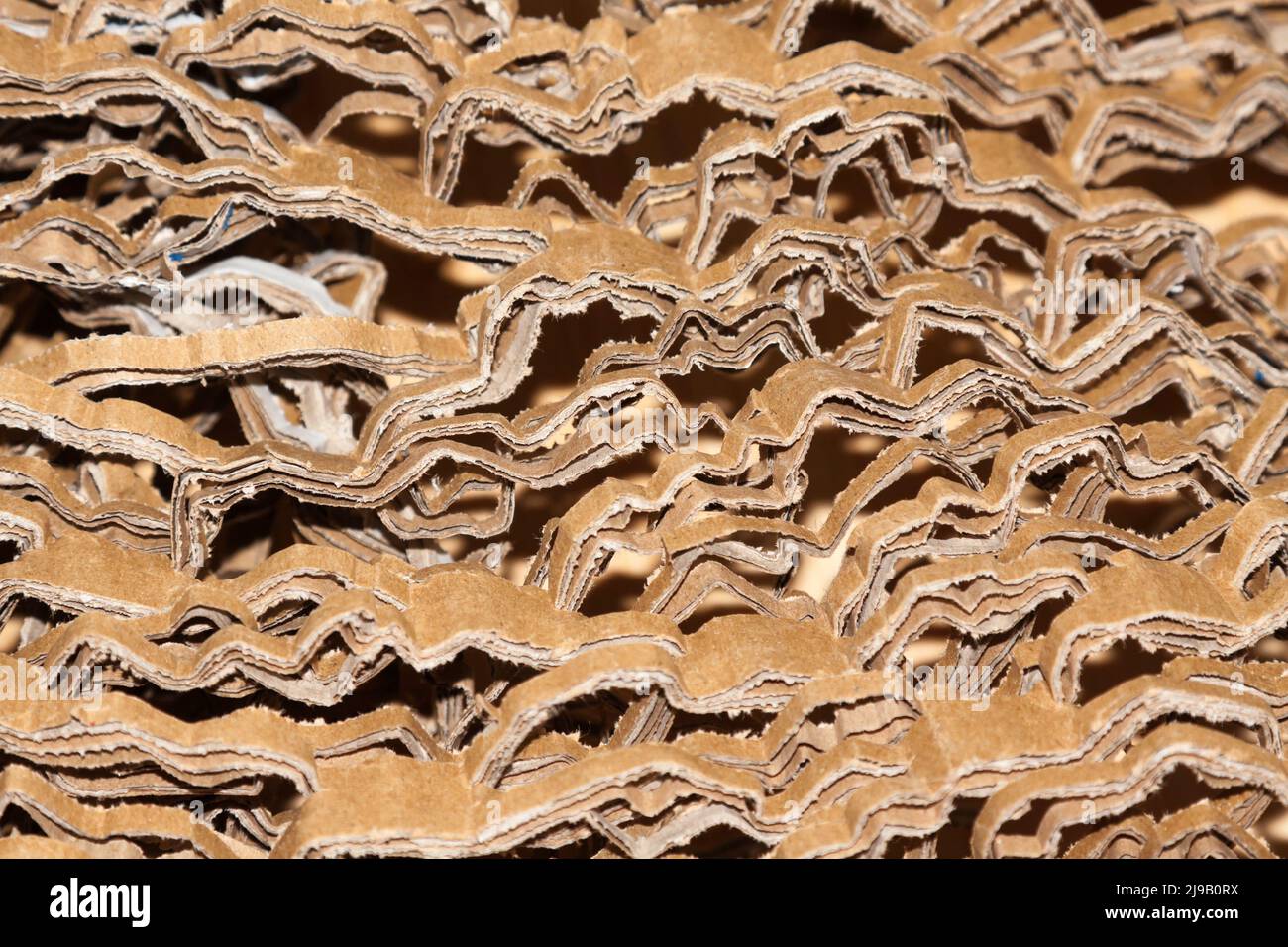 Cutted carton inside a cardboard box Stock Photo - Alamy