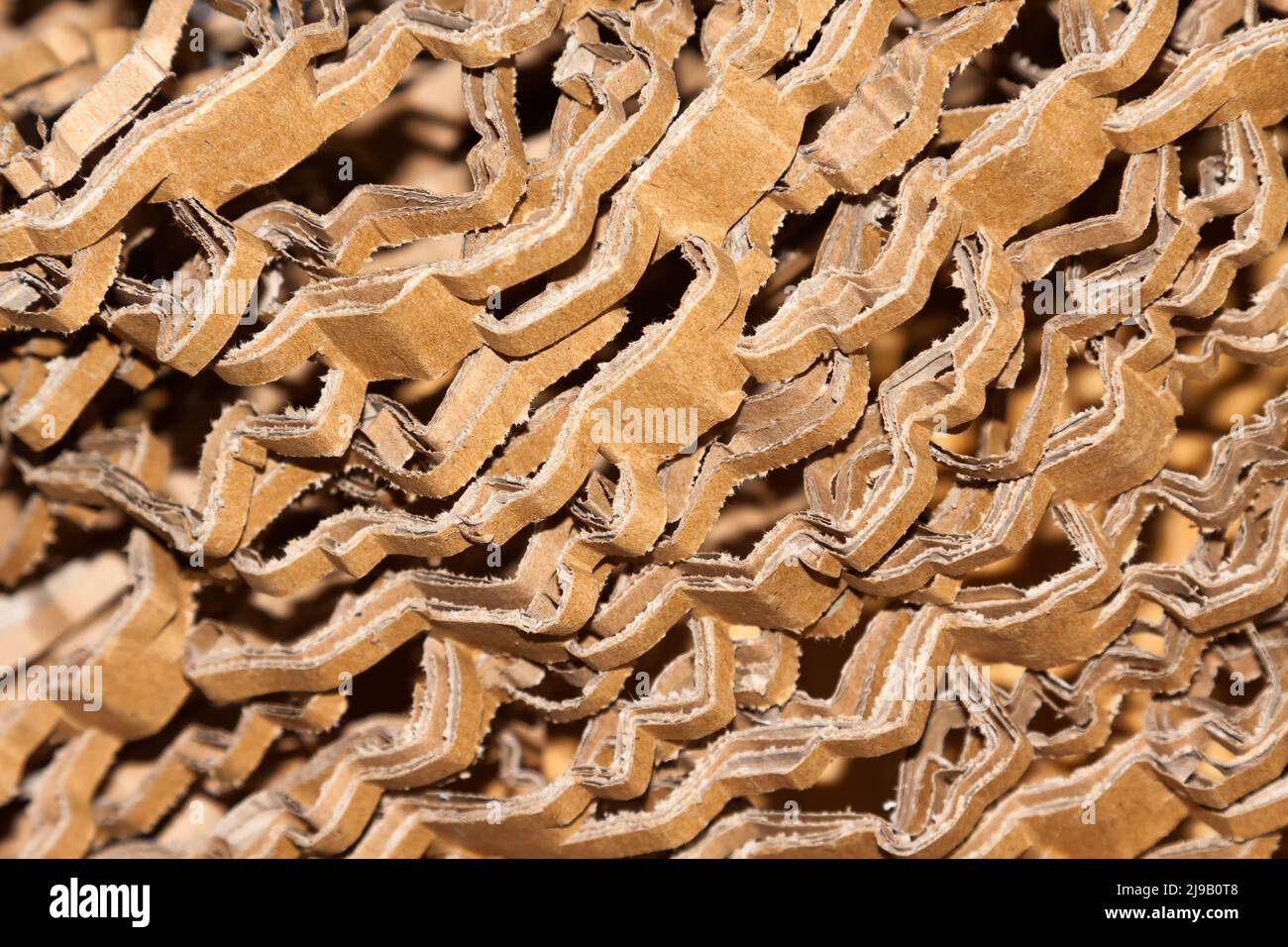 Cutted carton inside a cardboard box Stock Photo - Alamy