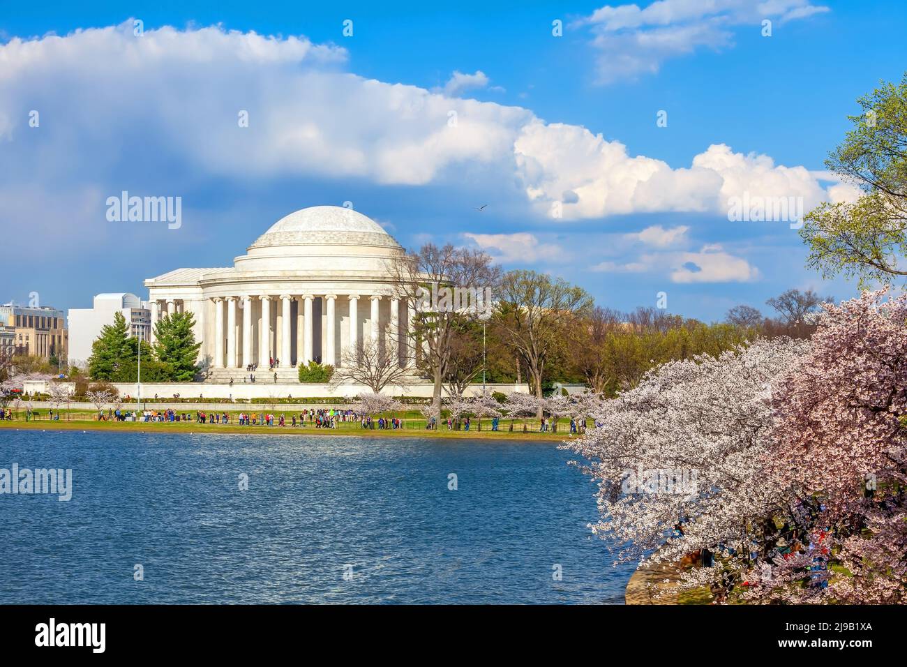 The Jefferson Memorial during the Cherry Blossom Festival. Washington, D.C. in USA Stock Photo ...