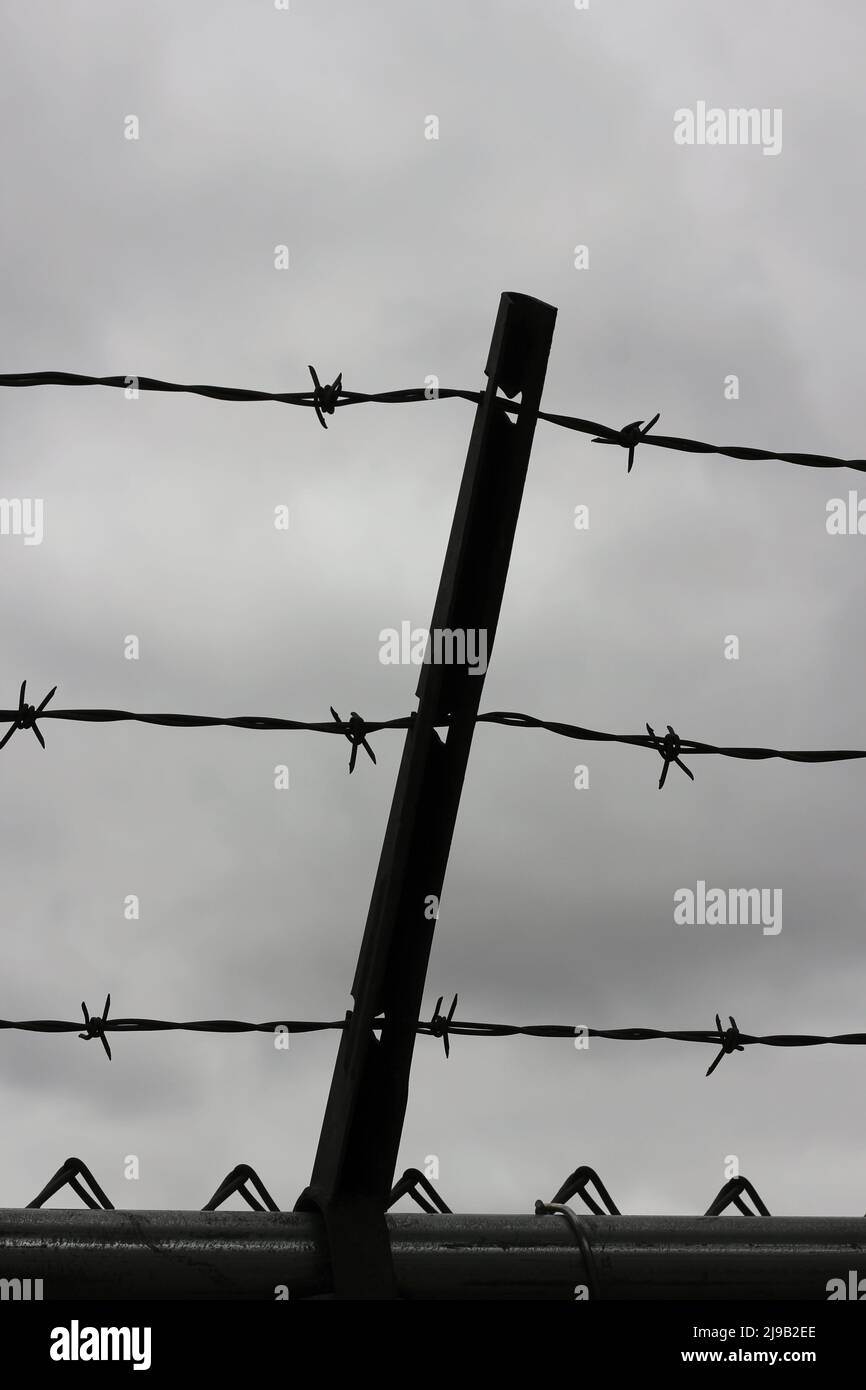 Barbed wire fence protecting something important in black and white ...