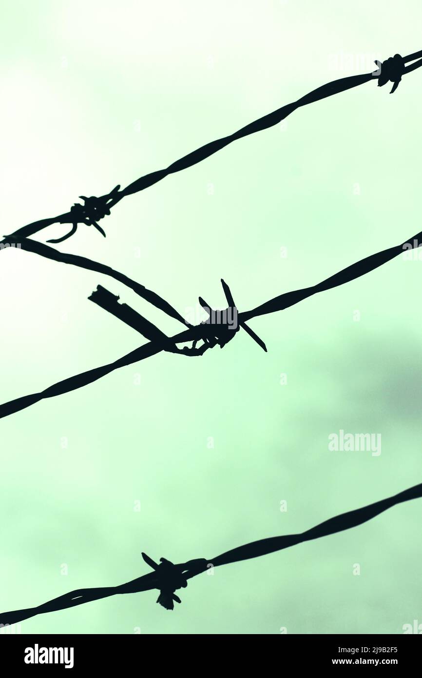 Barbed wire fence protecting something important Stock Photo - Alamy