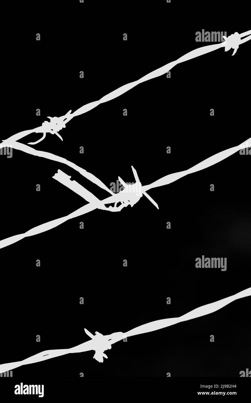 Barbed wire fence protecting something important in black and white ...