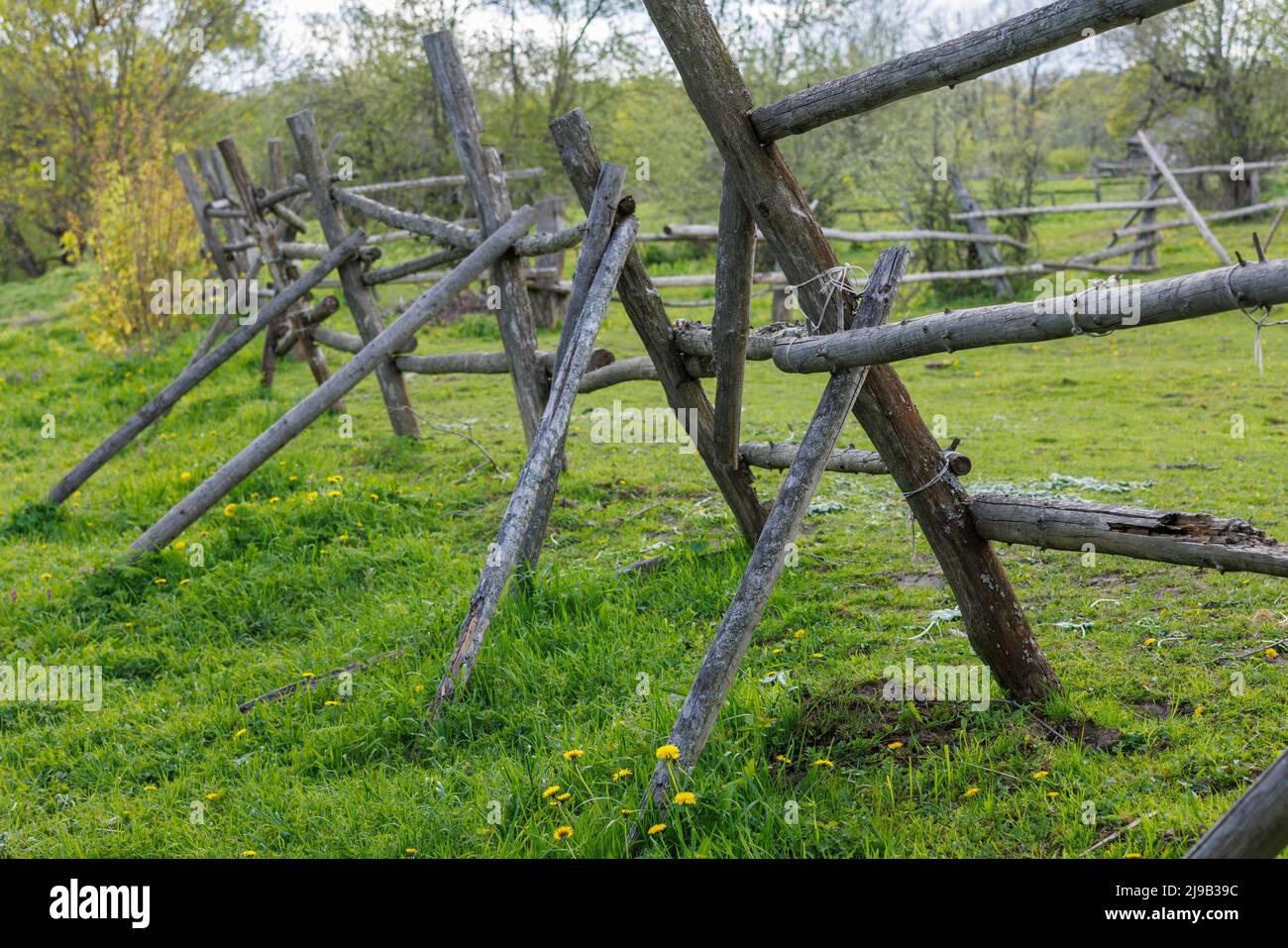 Thin log hi-res stock photography and images - Alamy