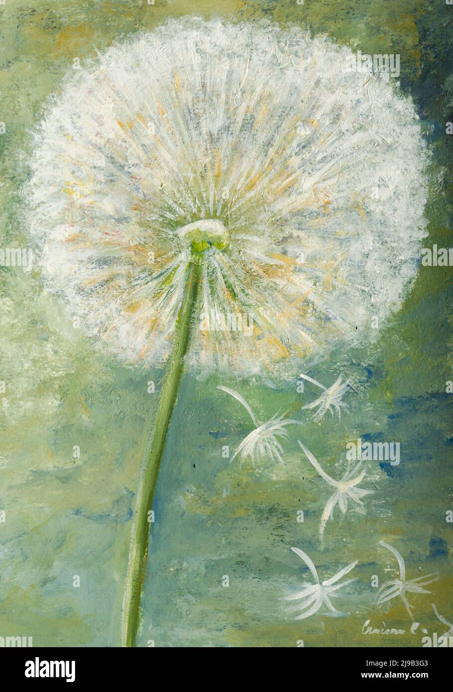 Dandelion drawings hi-res stock photography and images - Alamy