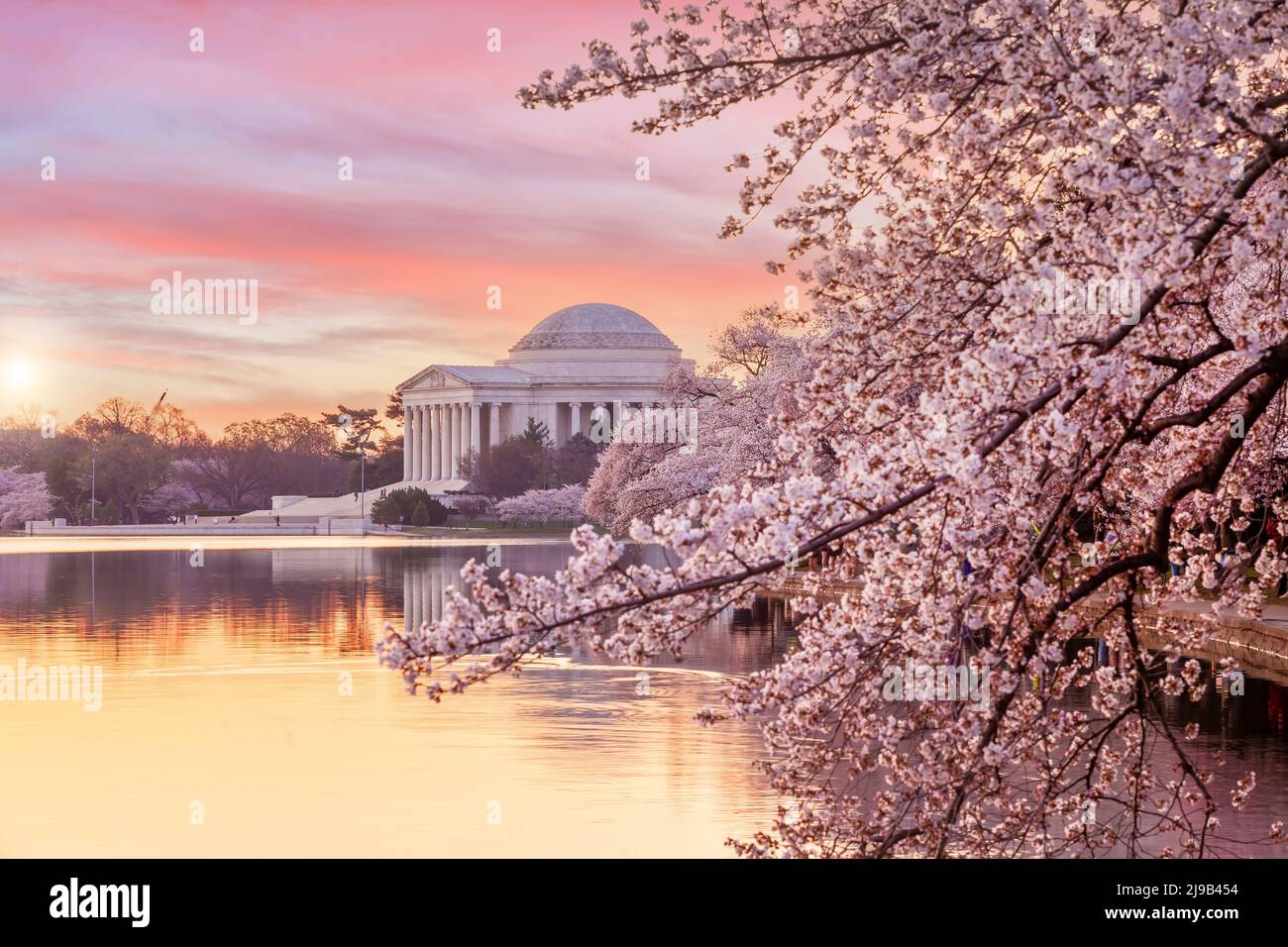 The Jefferson Memorial during the Cherry Blossom Festival. Washington, D.C. in USA Stock Photo ...