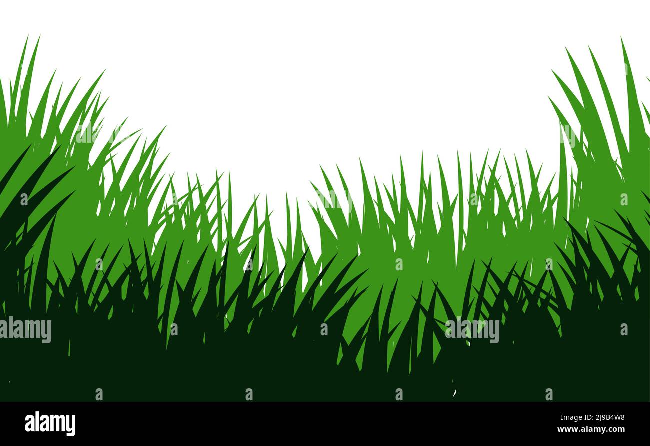Grass. Nature rural landscape. Pasture overgrown. Overgrown dense lawn ...