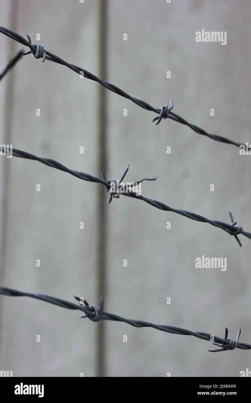 Barbed wire fence protecting something important Stock Photo - Alamy