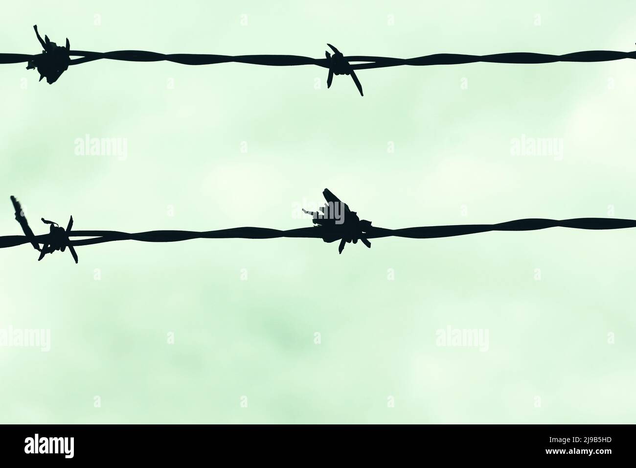 Important metal fence hi-res stock photography and images - Alamy