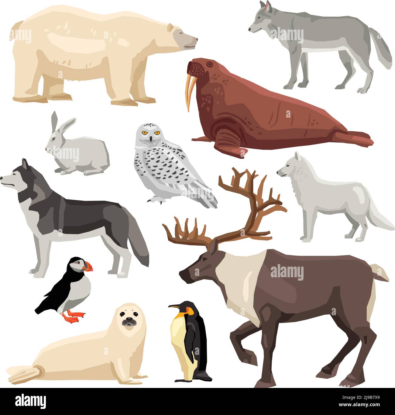 DIfferent flat polar animals and birds set isolated on white background ...