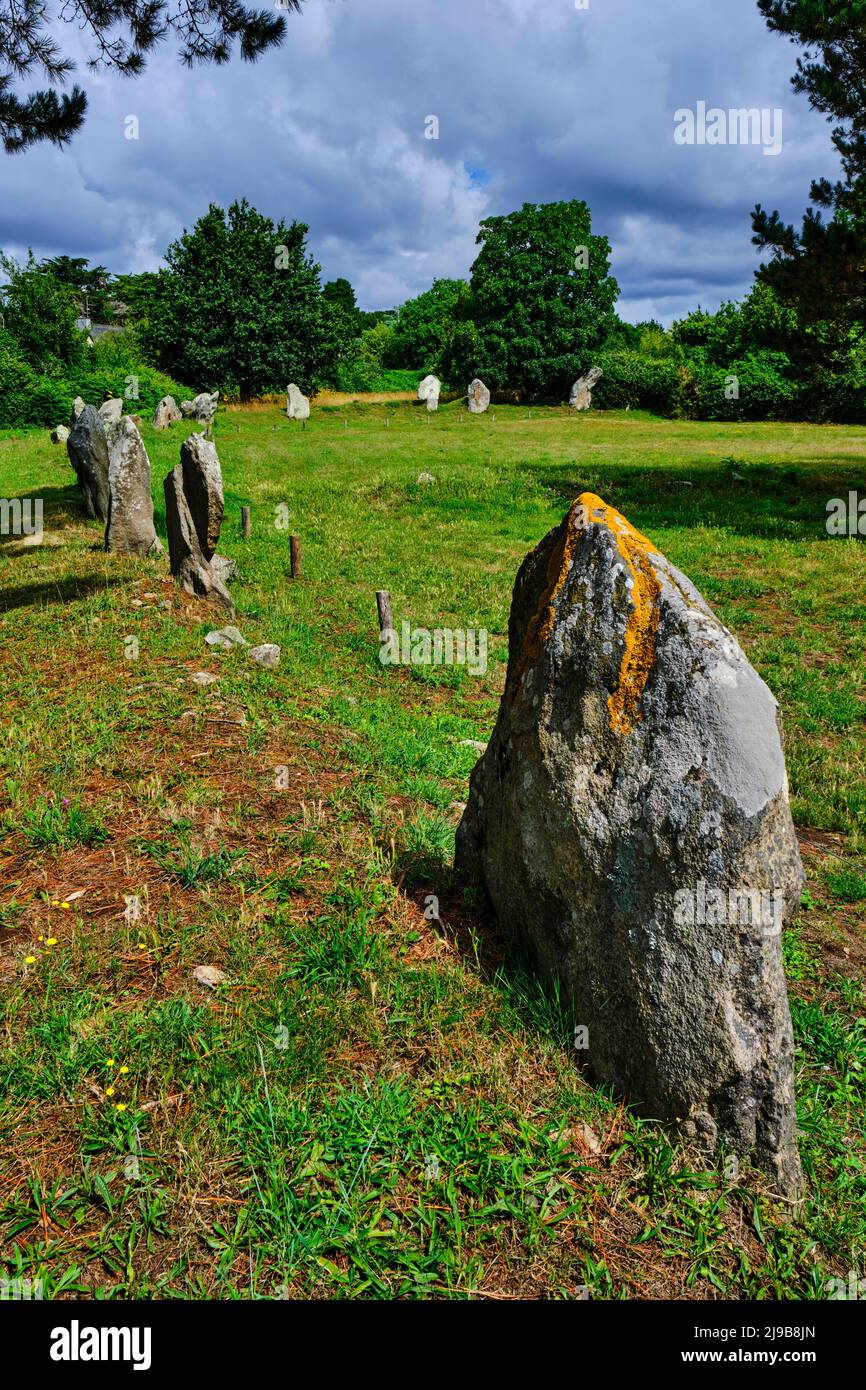 France, Morbihan, Gulf of Morbihan, Ile aux Moines, Cromlech de ...