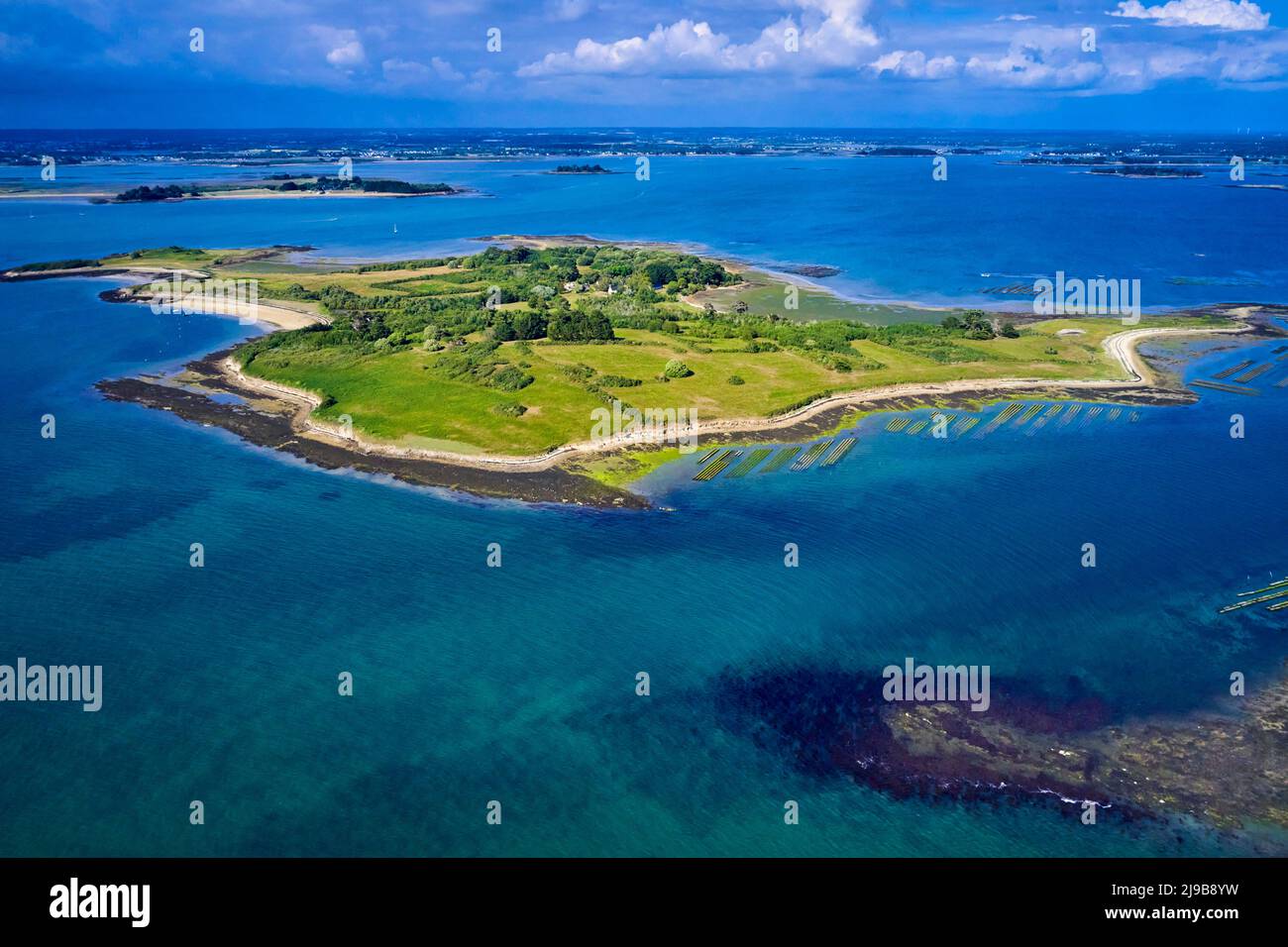 France, Morbihan, Gulf of Morbihan, Ilur island Stock Photo - Alamy