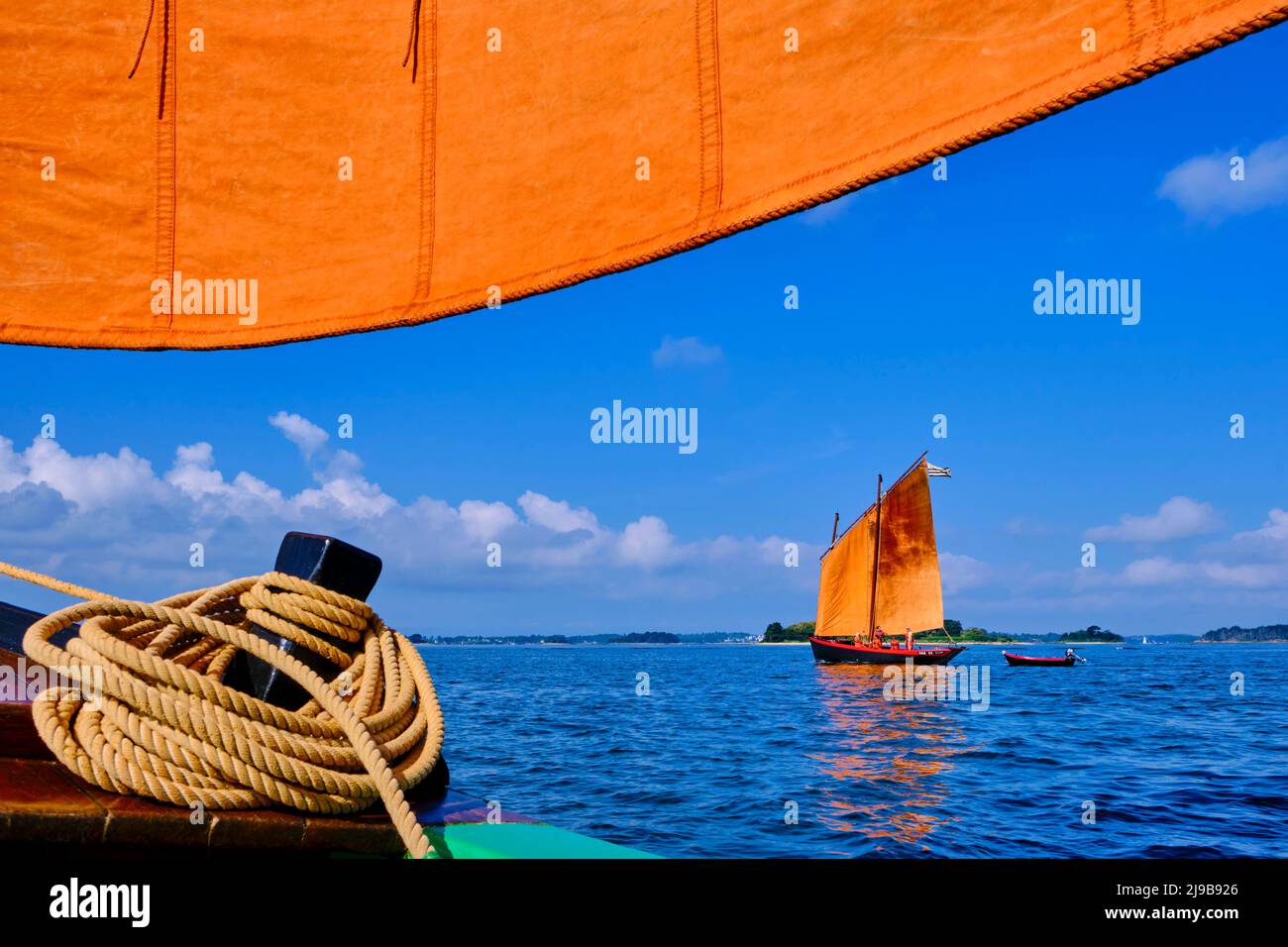 France, Morbihan, Gulf of Morbihan, old Sinagot rig sailing in the Gulf ...
