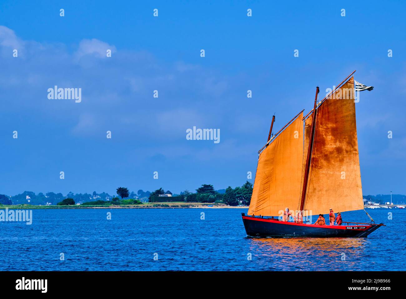 France, Morbihan, Gulf of Morbihan, old Sinagot rig sailing in the Gulf ...