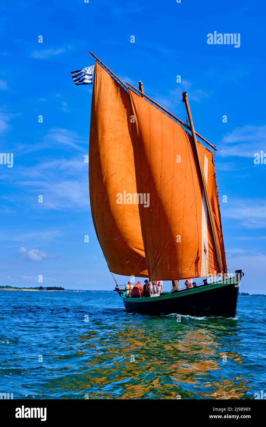France, Morbihan, Gulf of Morbihan, old Sinagot rig sailing in the Gulf ...
