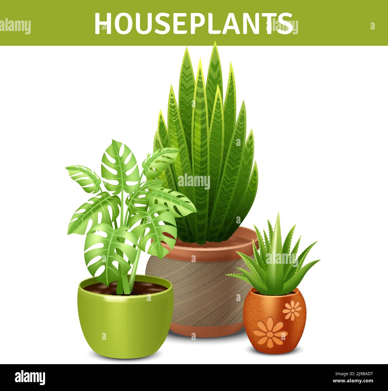 Realistic houseplants composition with green plants pots and ground ...