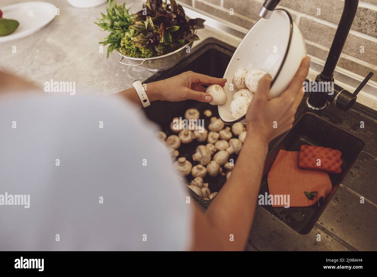 Washing mushrooms under running water before cooking in the kitchen ...