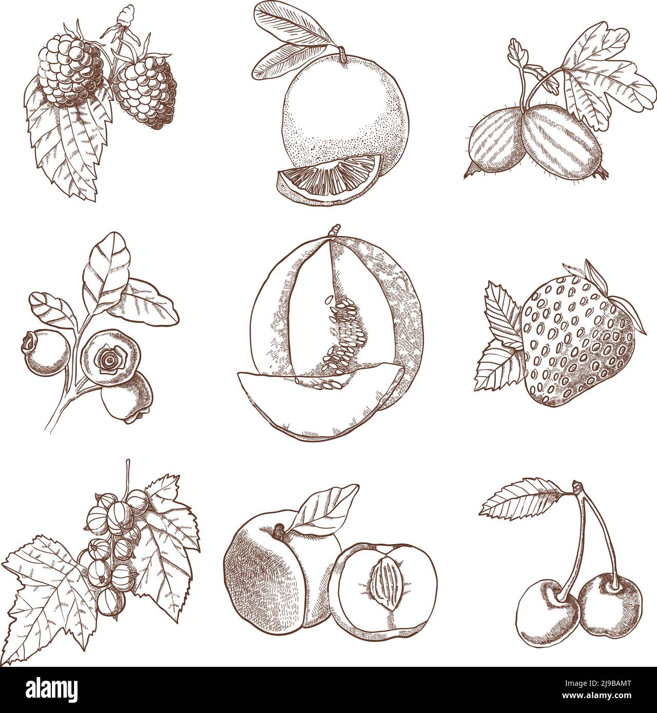 Decorative icons set of hand drawn berries and fruits in retro style ...