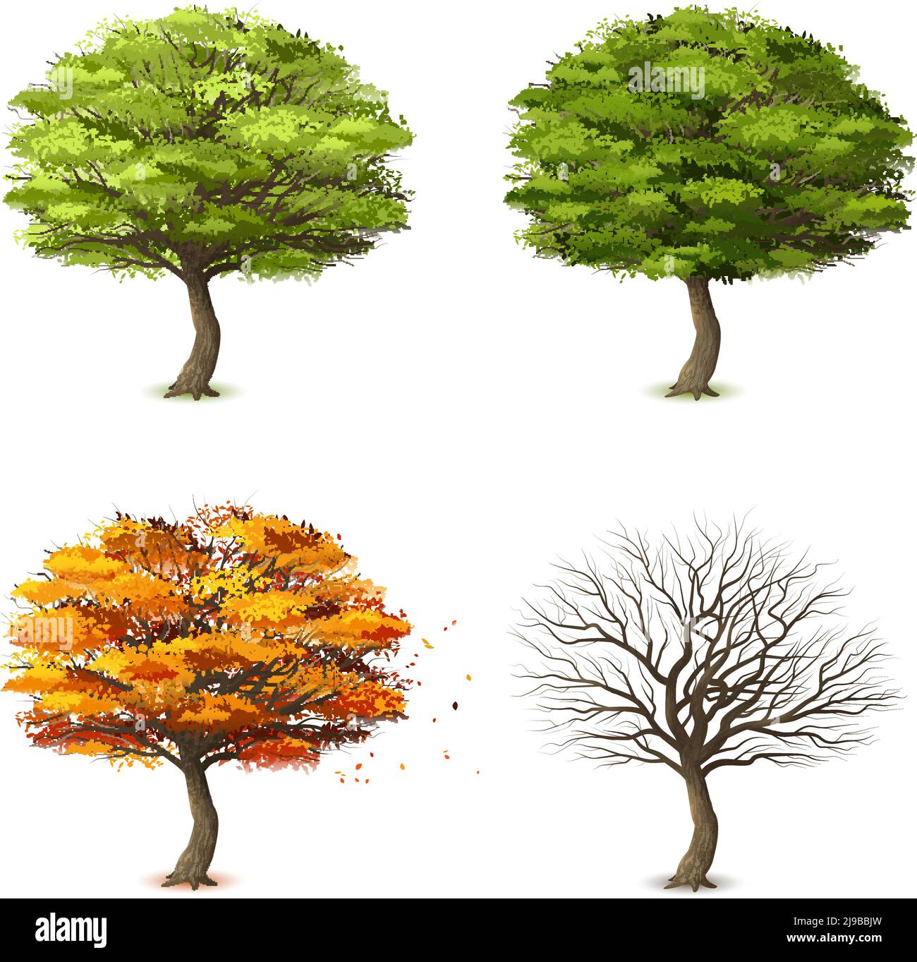 Trees in four seasons realistic decorative icons set isolated vector ...