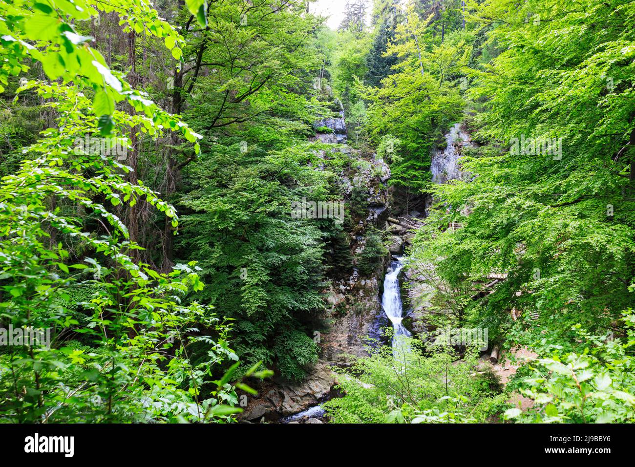 Resov waterfalls on the river Huntava in the Czech Republic Stock Photo ...