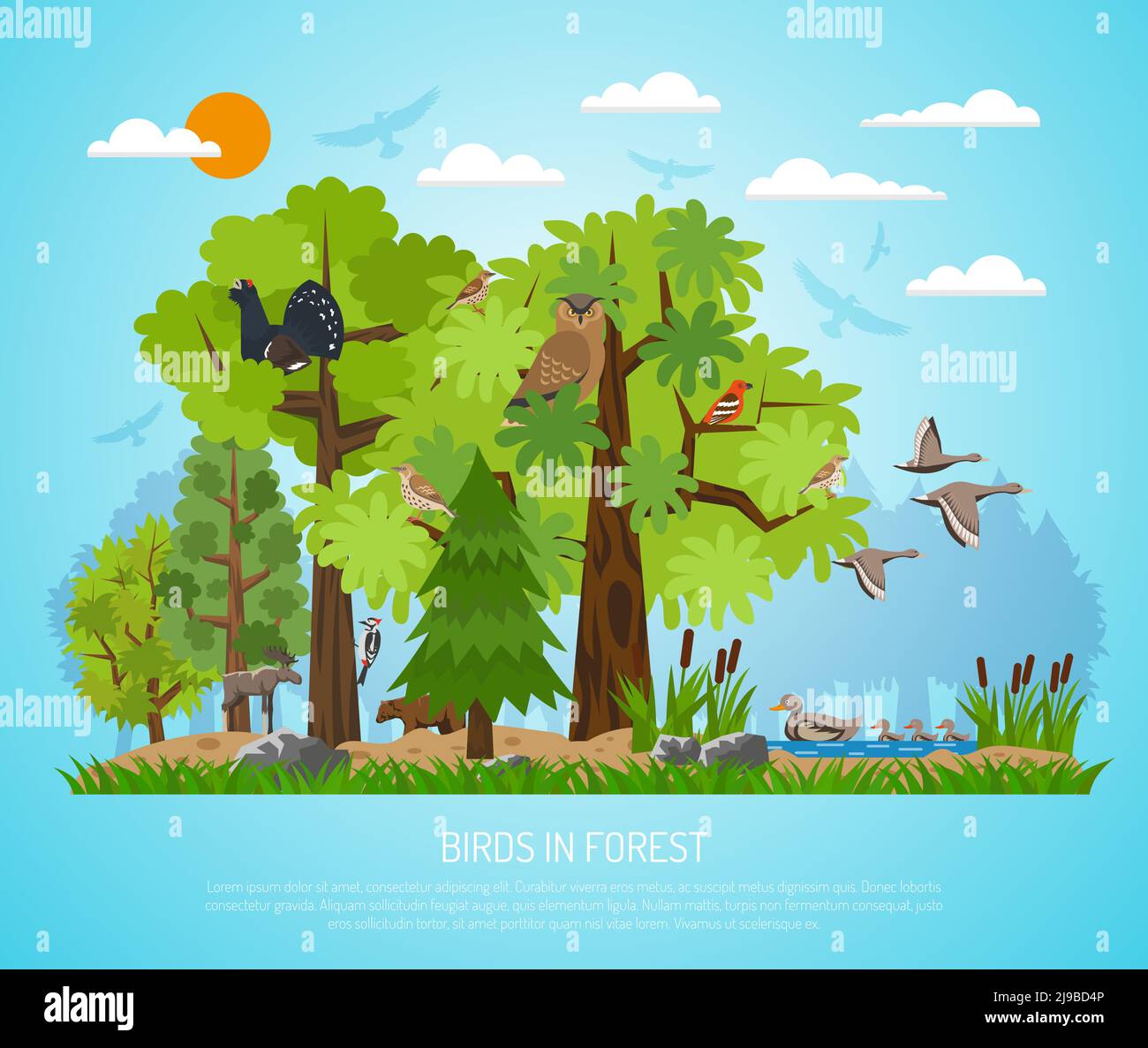 Forest poster with different trees pond various birds and few animals ...