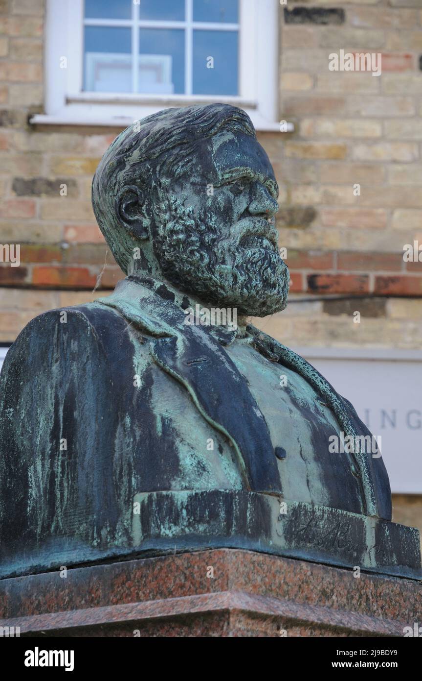 Potto hi-res stock photography and images - Alamy