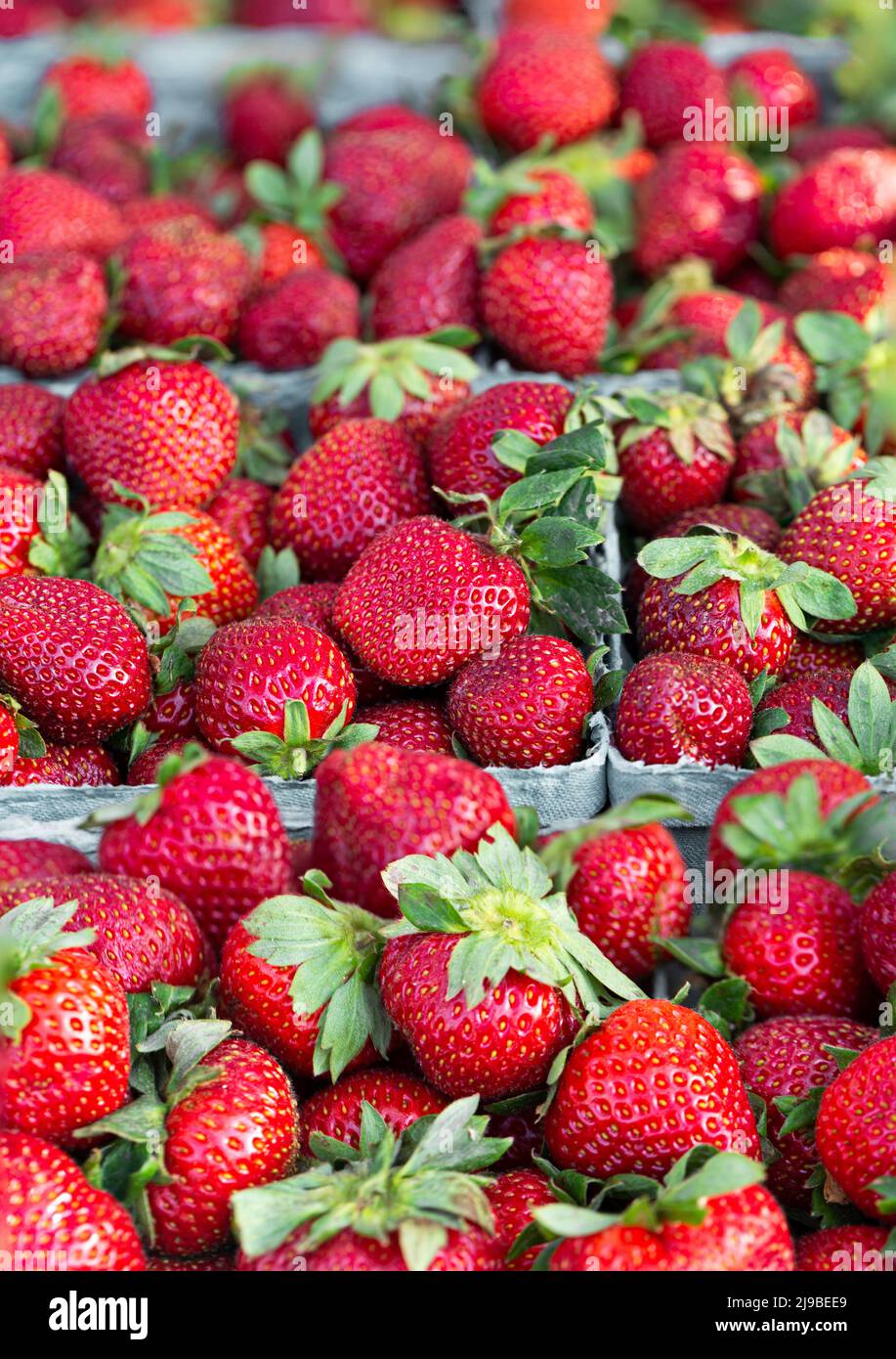 Farmers market strawberry hi-res stock photography and images - Alamy