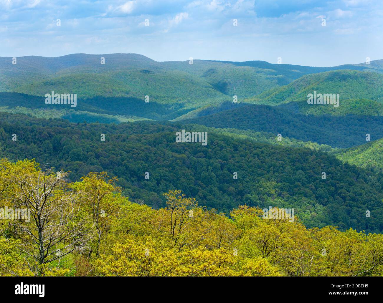 Landscape view in shenandoah hi-res stock photography and images - Alamy