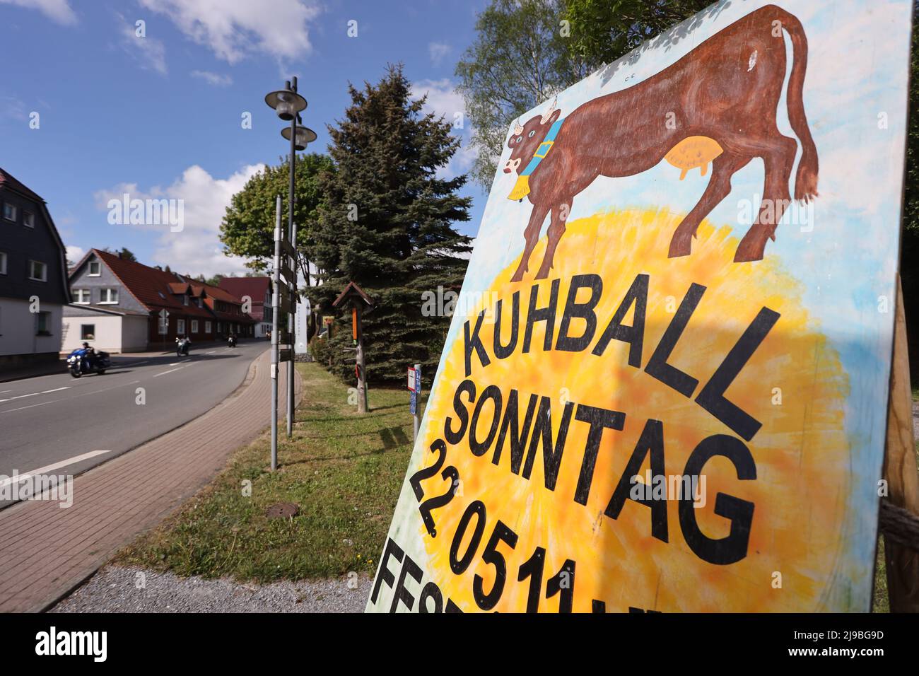 Tanne, Germany. 22nd May, 2022. An exhibitor with the notice of the cow ...