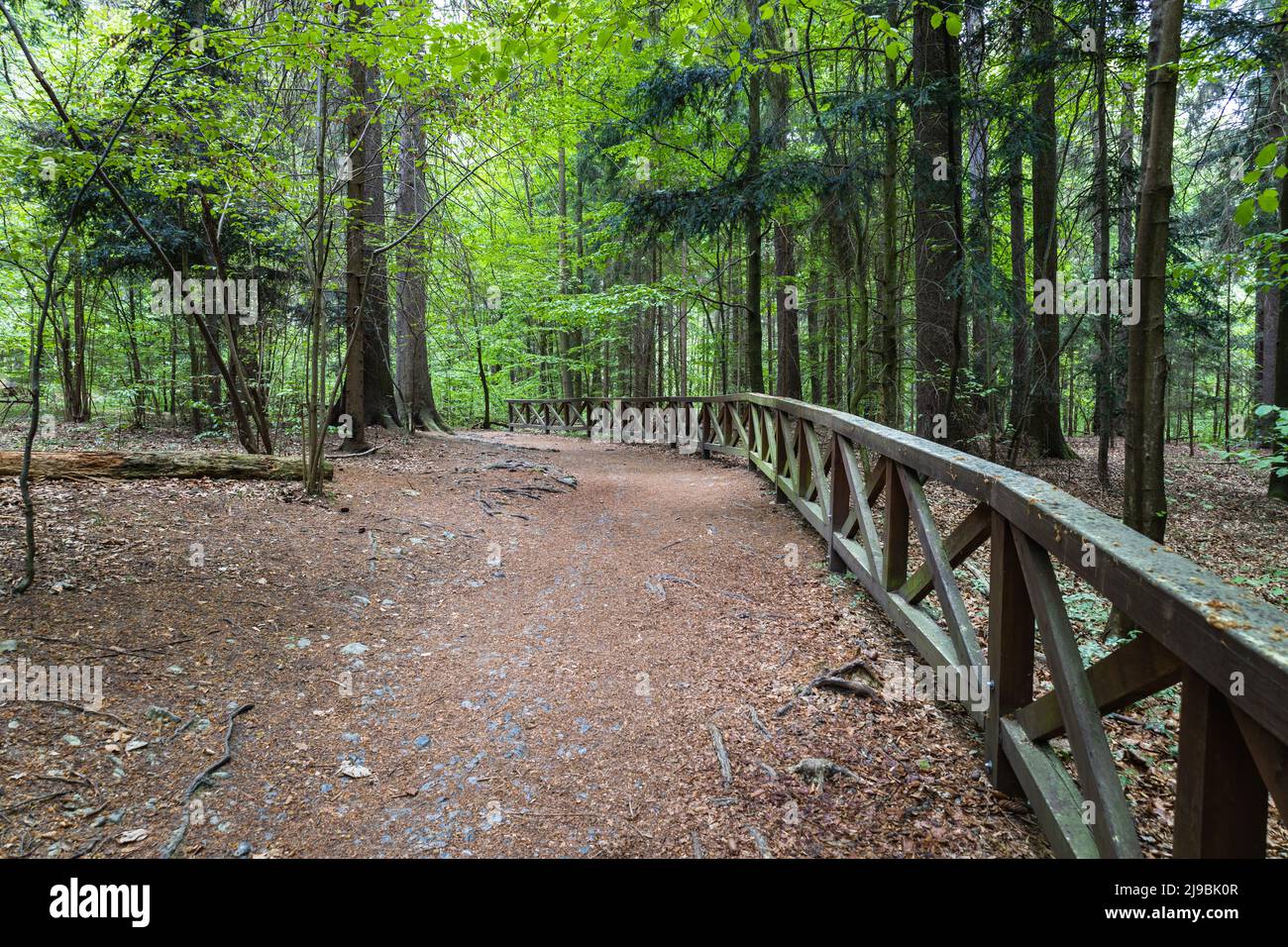 Walking trail in the mountains with wooden handrails Stock Photo - Alamy