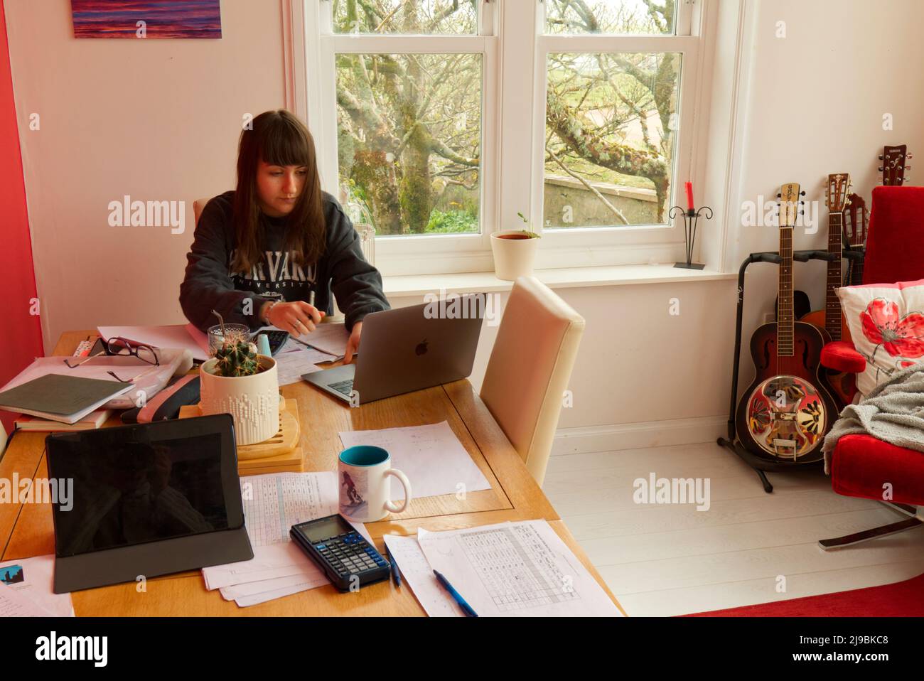 Teenage girl studying at home Stock Photo - Alamy