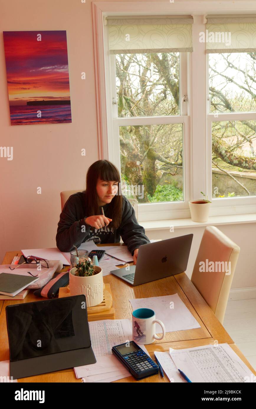 Teenage girl studying school coursework at home Stock Photo - Alamy
