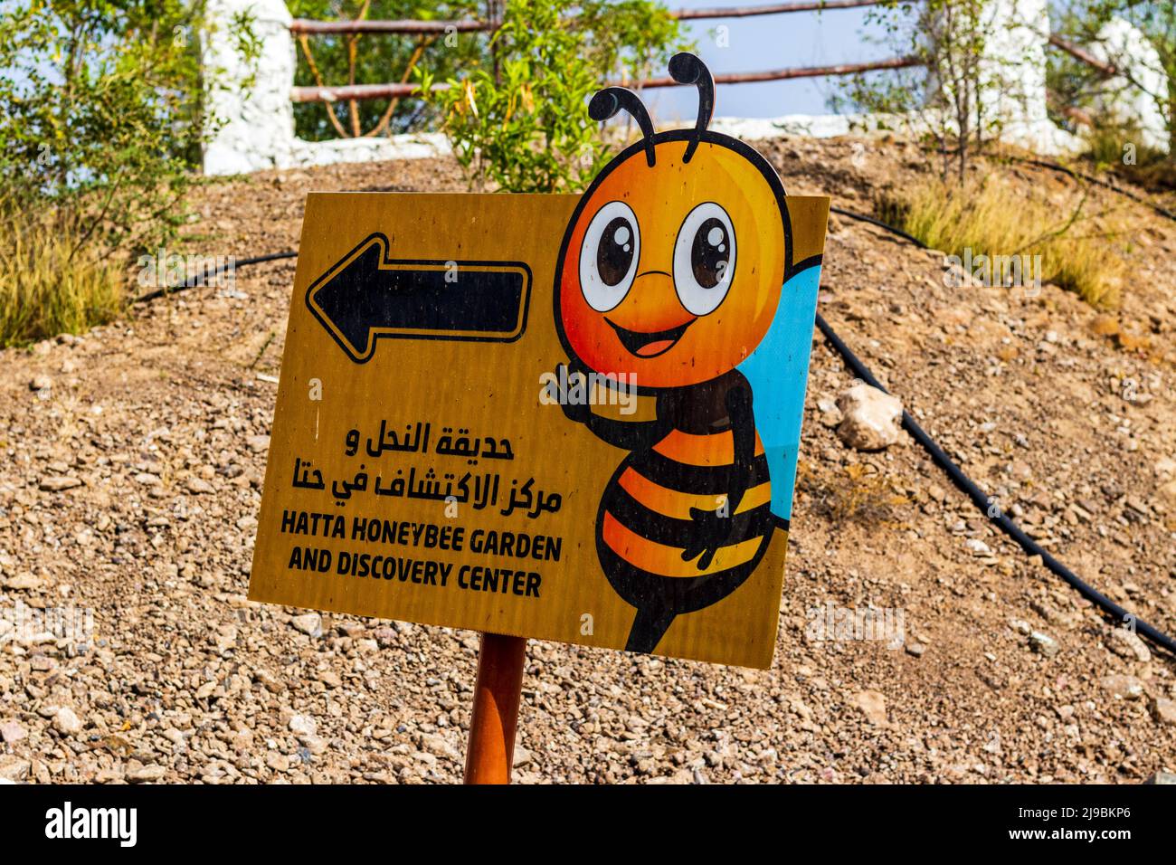 Dubai, UAE - 05.08.2022 - Sign board at Hatta honey bee garden and ...