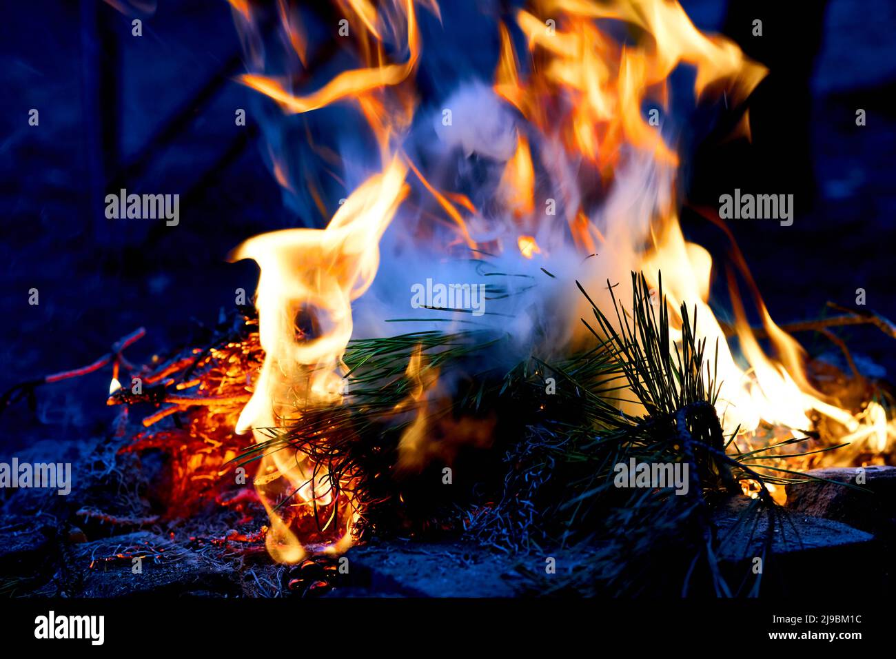 Bonfire and heat burning flame. Forest danger fire Stock Photo - Alamy