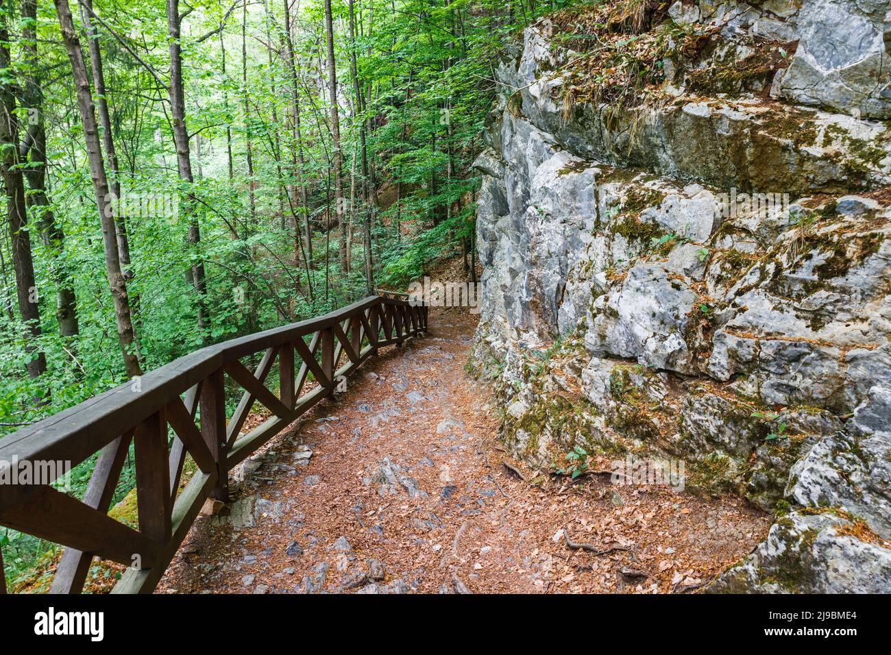Walking trail in the mountains with wooden handrails Stock Photo - Alamy