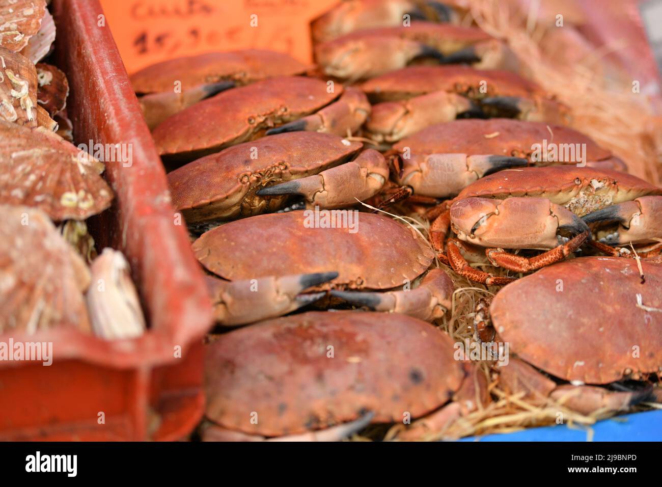 Raw of crabs at the fish market Stock Photo - Alamy
