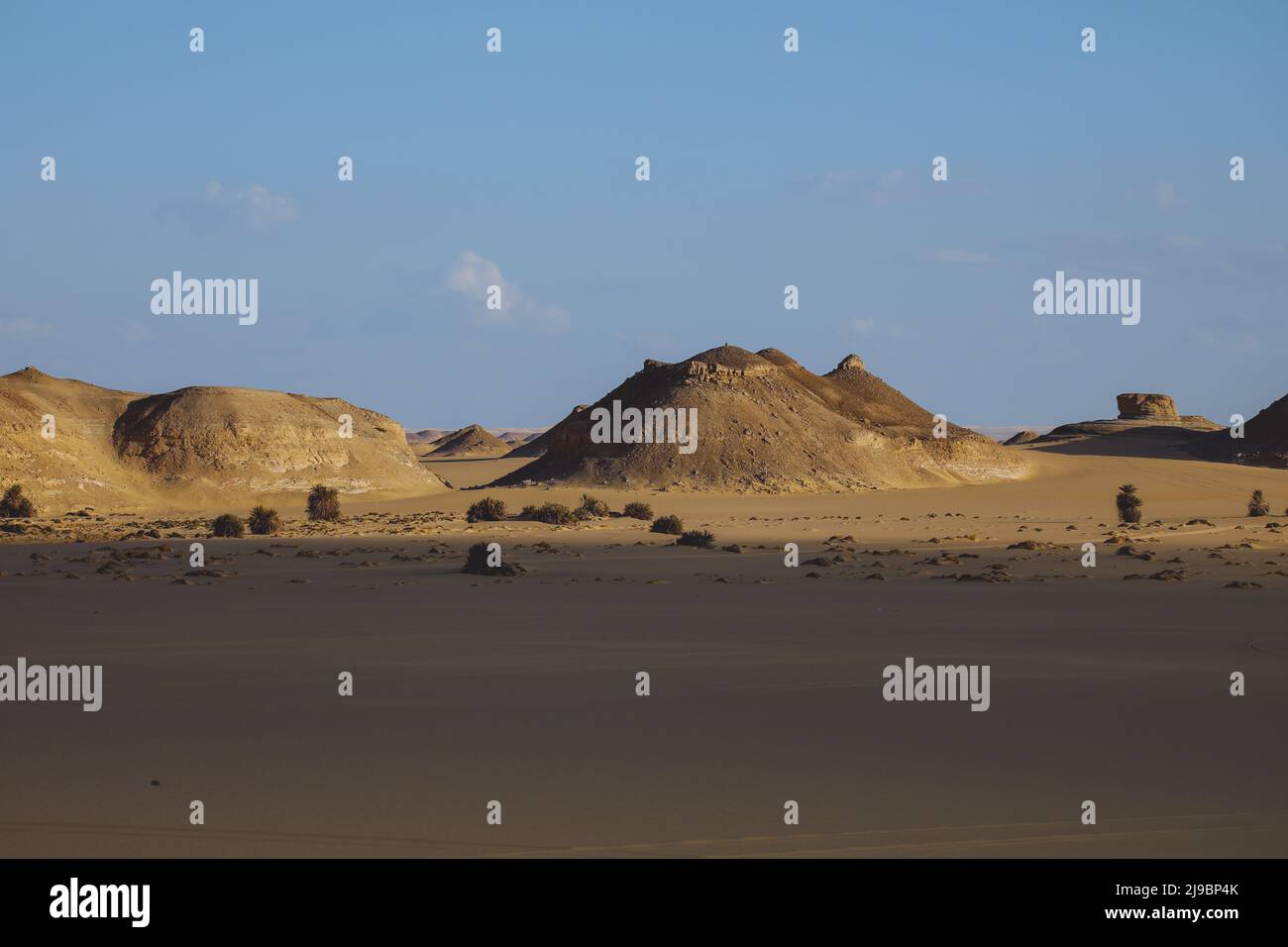 Landscape view white desert hi-res stock photography and images - Alamy